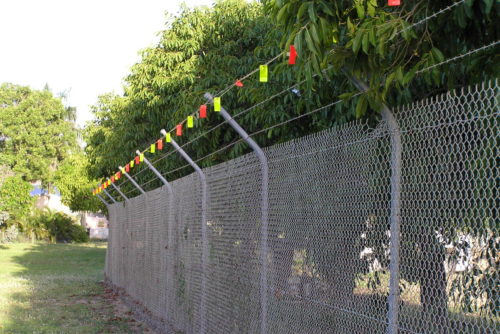 Australian Bat Society Members have offered the following suggestions ...